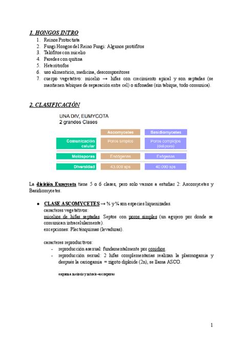 Botanica T3 Plantas Criptogamas De Interes Farmaceutico Pdf