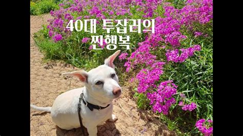 Vlog2 I 40대 투잡 편의점 알바 Youtube