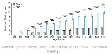 雄性激素脱发和脂溢性脱发一样吗雄性脱发和脂溢性脱发区别 知乎