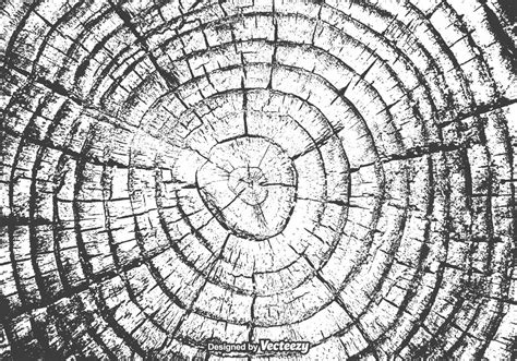 Free Tree Rings Vector Texture Vector Art At Vecteezy