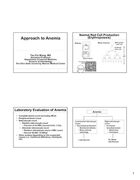 Pdf Approach To Anemia Final Handout To Anemia Final 4 Pdf2 Anemia With Low Normal