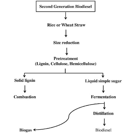 Second Generation Biodiesel Processing 25 Download Scientific Diagram