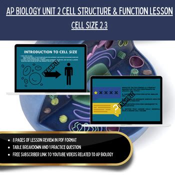 AP Biology UNIT 2 Cell Structure And Function Cell Size Section 2 3