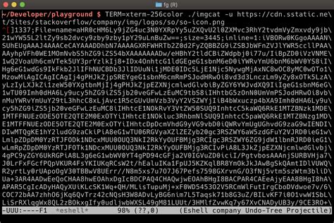 Displaying Images In An Emacs Process Running Within Iterm2 Stack