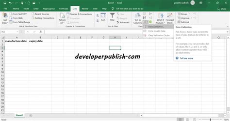 Date Validation In Microsoft Excel Developer Publish