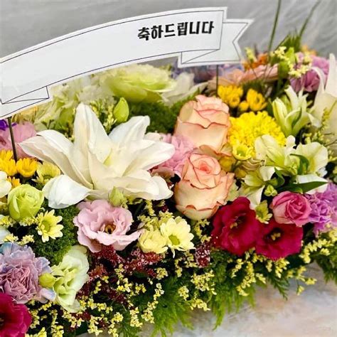 꽃 해바라기