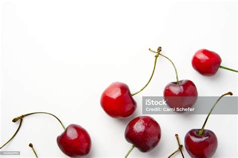 흰색 배경에 고립 된 달콤한 빨간 체리 줄기와 잎이있는 신선한 체리 공간을 복사합니다 음식과 과일 개념 0명에 대한 스톡 사진