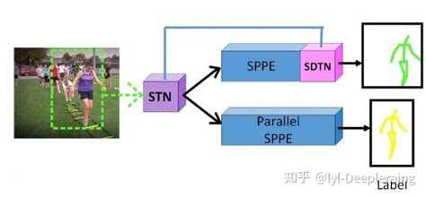 深度学习的人体动作识别算法 知乎