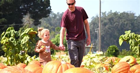 Nipomo Pumpkin Patch Opens Fall Season To Community Members Saturday
