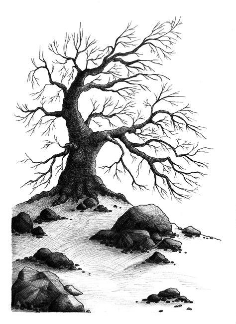 Иллюстрация 5 Ира Ку