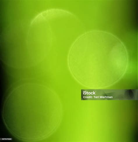 와 같은 다양 한 배경 용암 바위 벽에 이끼 풀 잎에이 슬 방울 이끼 가까이의 클로즈업을 석양 모래 잎 잔디 W 아침 빛 화산 암 모스 벽 비 자동차 창에 드랍 스와 화산