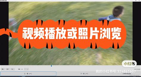 使用C 实现支持人脸识别的本地照片管理工具 c 图片管理 CSDN博客