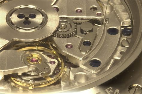 Diy Focus Stacking For Macro Photography Page 1