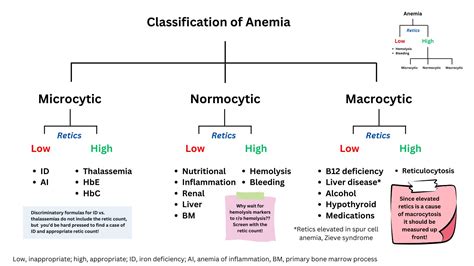 What Is Meaning Of Normochromic Anemia At Gemma Mate Blog