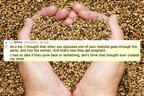 Absurd Sexual Misconceptions People Had When They Were Babeer Barnorama