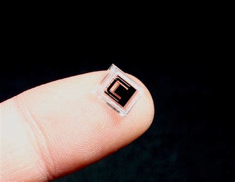 Uncapped Density Chip Showing The U Shaped Silicon Tube Download