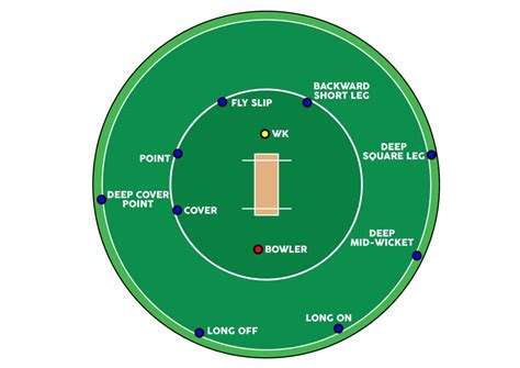 Field Placements For An Off Spinner Across Formats Crictoday