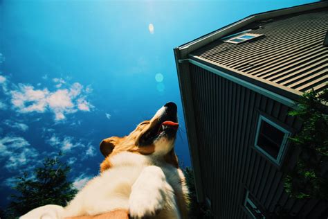 How To Reduce Your Aws Bills