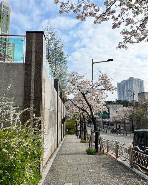 오늘도화사 꽃바구니 어떤 색감으로 하느냐에 따라 분위가 많이 달라지는 것 같아요 그렇지만 다 이뻐😍 특별한날 아니면 보통의어느날 언제든 꽃을 선물해보세요💐 부산
