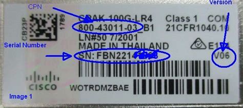 Cisco Serial Number Lookup Tool Voicenasve