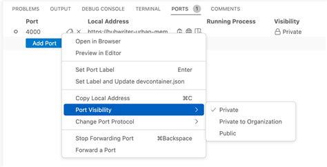 Forwarding Ports In Your Codespace Github Docs
