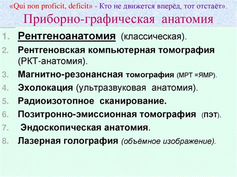 В ведение в анатомию - презентация онлайн