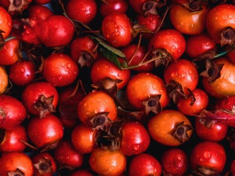 Premium Ai Image Rose Hip Background As Seamless Tile Generative Ai