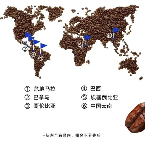 瑞幸全球寻豆计划招聘寻豆小助理 网友公费旅游还买社保 中国咖啡网