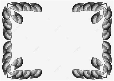 Framework From Leaves Syngonium Design Summer Clip Art Framework Png Framework From Leaves Syngonium Design Summer Clip Art Framework Png