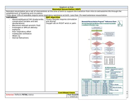 Newborn At Risk Cm Concept Map Newborn At Risk Neonatal