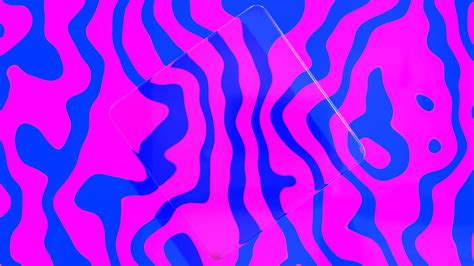 Zebra Pattern Stock Video Footage For Free Download