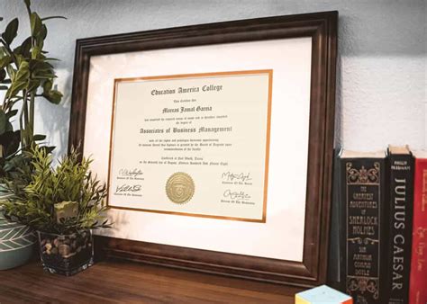 Custom Transcript Services Tailored Records Validgrad