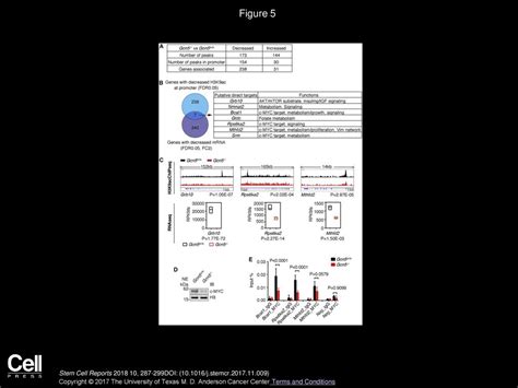 Volume 10 Issue 1 Pages January 2018 Ppt Download