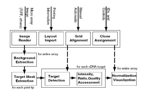 10 Block Diagram Of Cdna Microarray Image Analysis Download