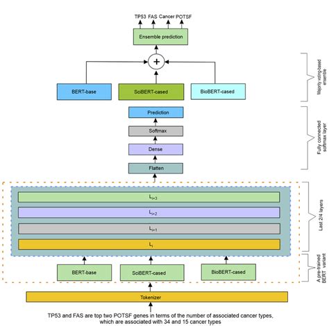 A Schematic Representation Of NER Task Each Of 3 Different BERT
