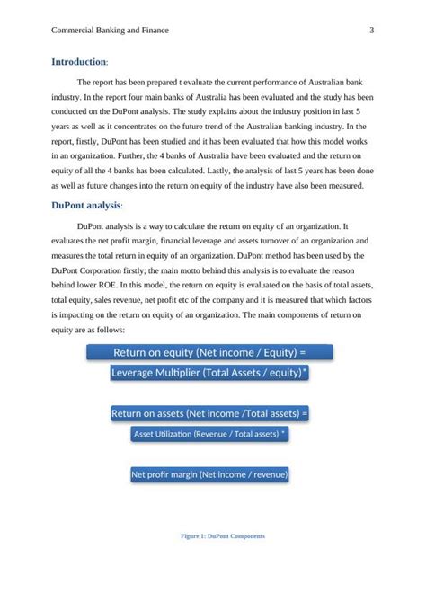 Commercial Banking And Finance DuPont Analysis And Industry Evaluation
