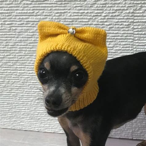 Шапка для собаки в интернет магазине на Ярмарке Мастеров Одежда для питомцев Норильск