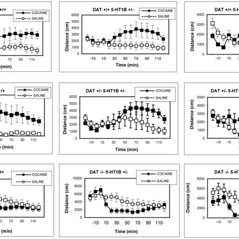 Experiment 2 Time Course Of Locomotor Activity In Dat5 Ht1b Ko Mice