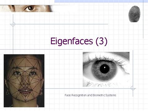 Eigenfaces 3 Face Recognition And Biometric Systems Plan