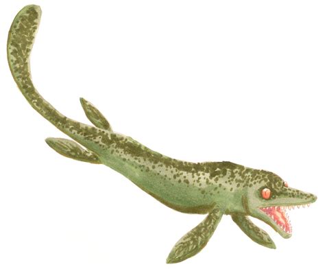 Tylosaurus By Kanrei