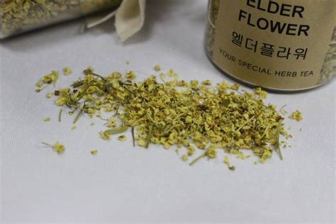 유럽에선 감기예방으로 즐겨마시는 엘더플라워 영국 살면서 처음 알게된 허브중 하나였어요 국내엔 아직 잘 알려져 있지