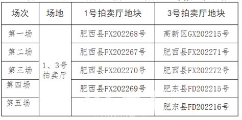 365土拍直播：合肥今日9宗地揽金4582亿元！网络直播365淘房
