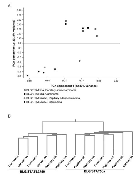 Principal Component Analysis Pca And Unsupervised Hierarchical