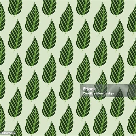 장식 열대 야자 잎 원활한 패턴입니다 정글 잎 벽지입니다 이국적인 식물 질감 관목에 대한 스톡 벡터 아트 및 기타 이미지 관목 꽃 나무 나무 Istock