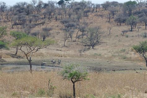 Weenen Game Reserve Reviews Photos
