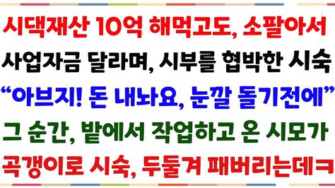 반전신청사연시댁재산 10억 해먹고도 소팔아서 사업자금달라며 시부를 협박한 시숙 아브지 돈줘요 빨리요 그순간 밭에서 작업하고 온 시모가 신청사연 사이다썰 사연