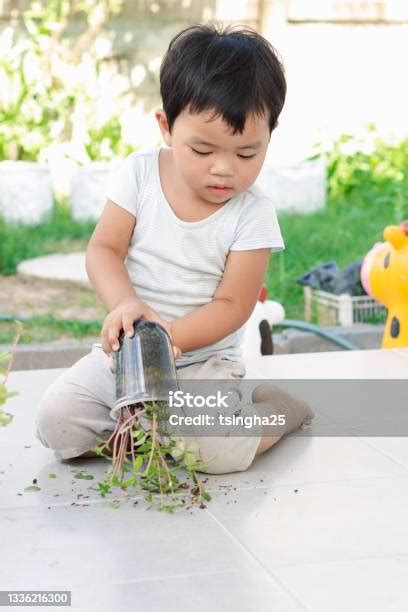 아시아 사랑스러운 귀여운 어린 소년 집의 정원에서 꽃을 심는다 원예와 재미를 아이 가정 생활에 대한 스톡 사진 및 기타 이미지 가정 생활 교육 꽃 식물 Istock