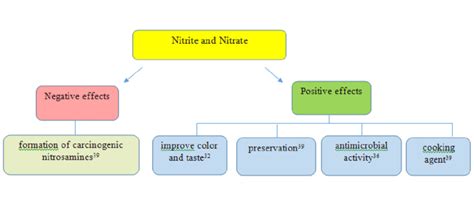 The Nitrite And Nitrate Roles In Meat And Meat Products Download