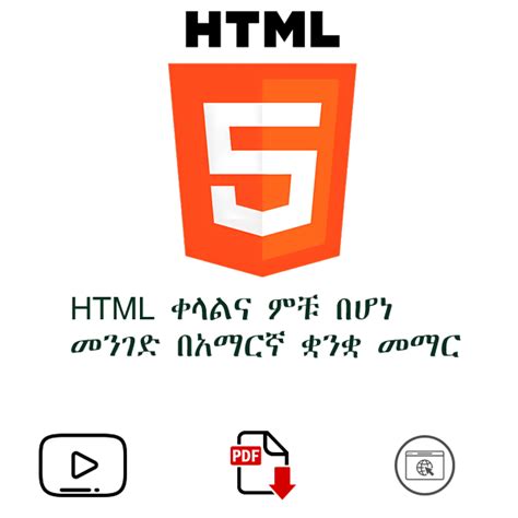 learn programming in amharic simple and fun tutorials
