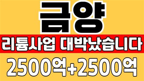 금양 주가전망 몽골 캐시카우 확정 흑자전환 준비내용 확인필수김프로금양2차전지4695 Youtube